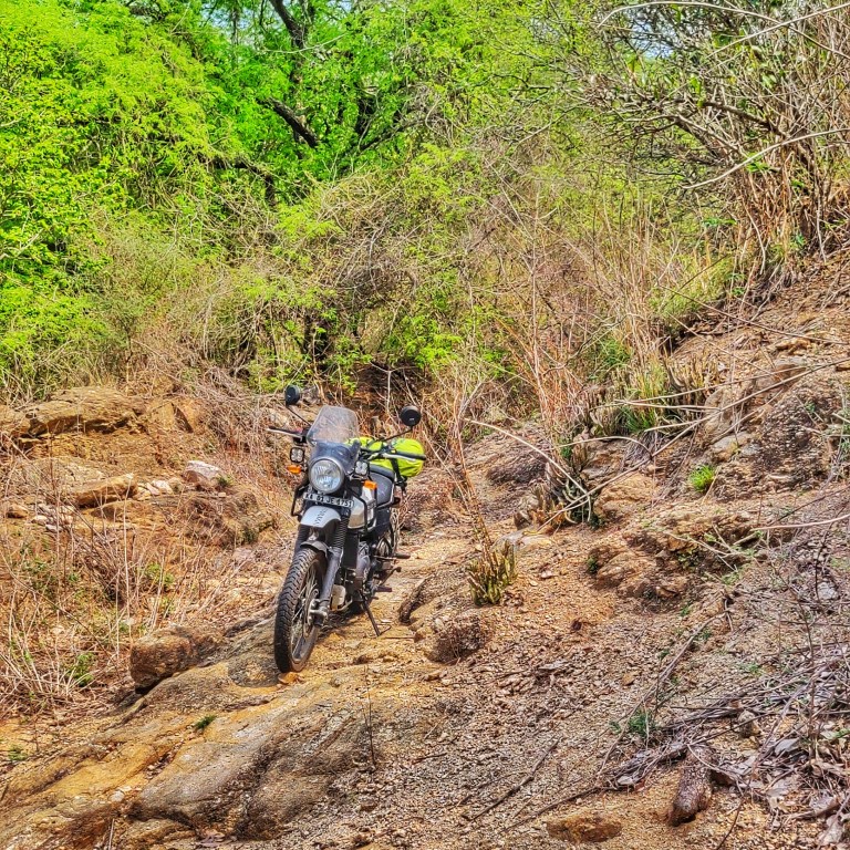 LONG-TERM Ownership Review of my BS4 Royal Enfield Himalayan | LEAVE ...
